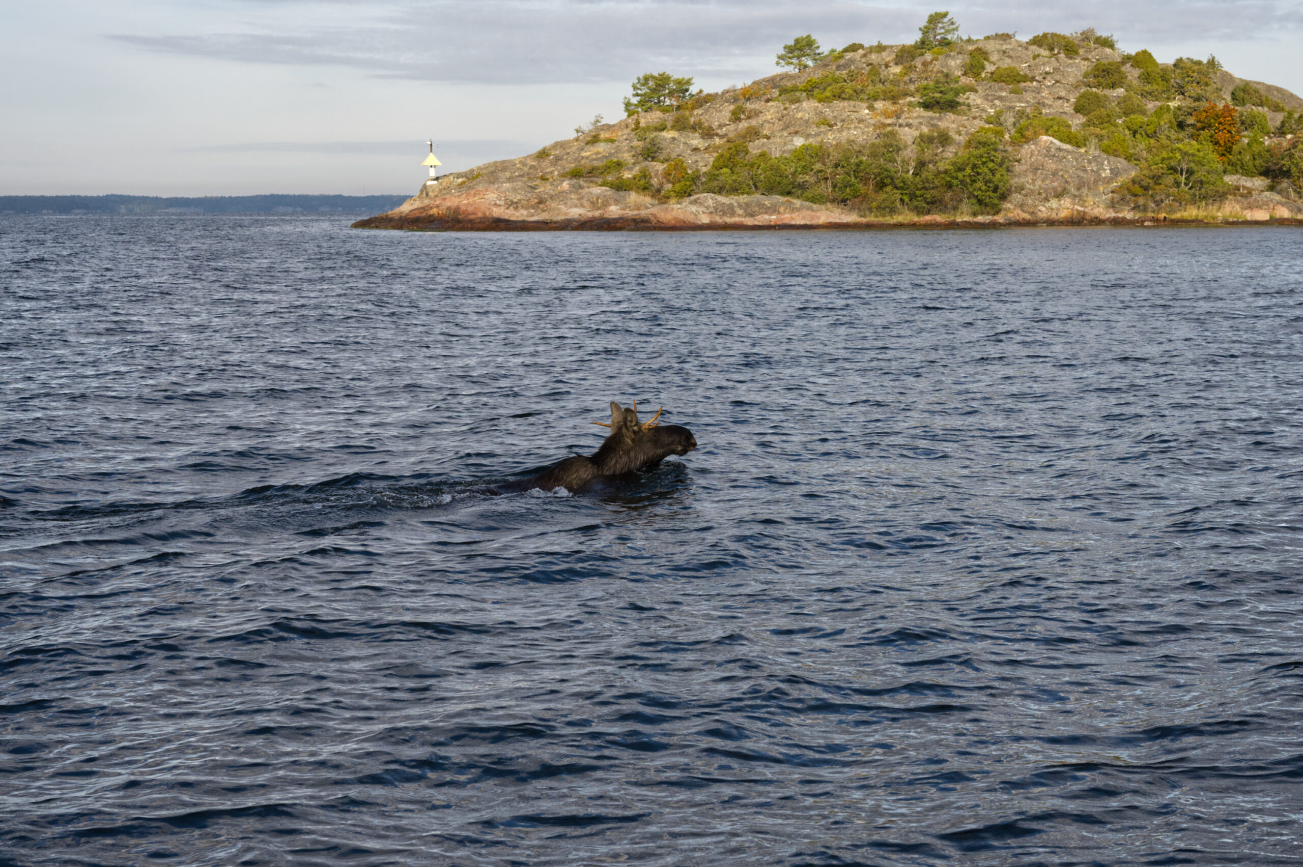 Sandhamn Seglarhotell | Hotell, Spa & Restaurang i Stockholms skärgård