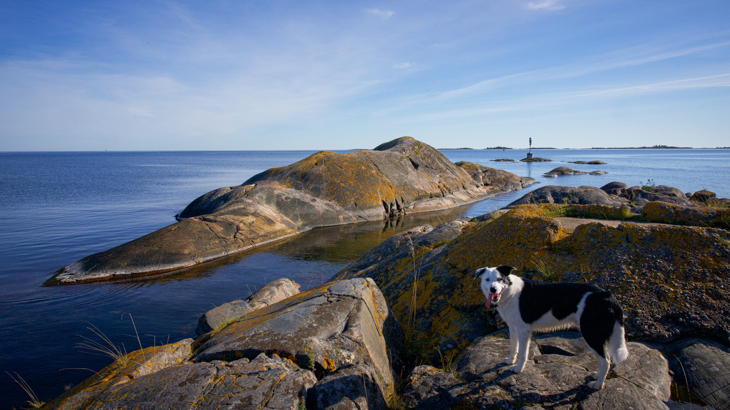 Sandhamn Seglarhotell | Hotell, Spa & Restaurang i Stockholms skärgård