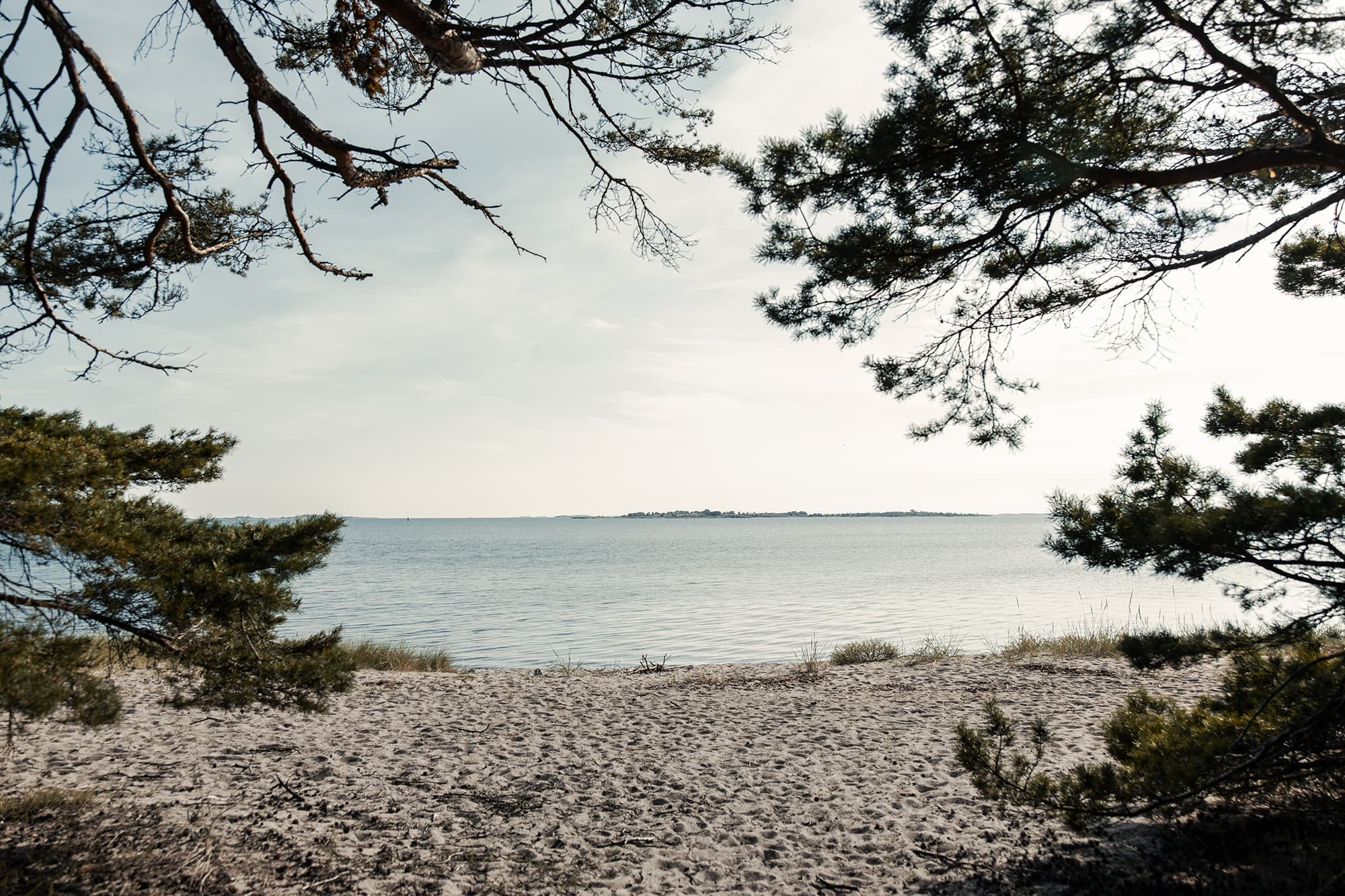 Sandhamn & Island sand Island i stockholms archipelago