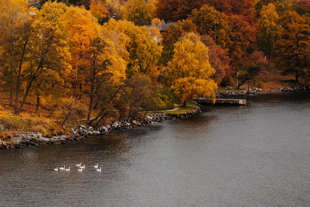 Spa i skärgården | Sandhamn Seglarhotell